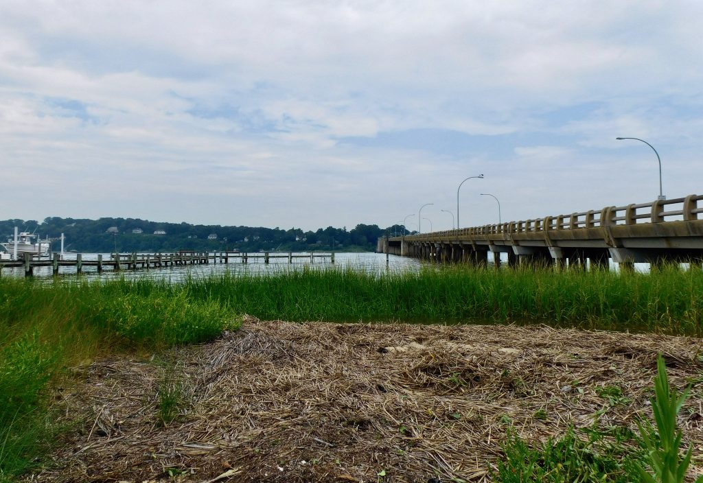 Focus: Rumson River Daze & Weather for the Week Ahead — Rumson-Fair ...